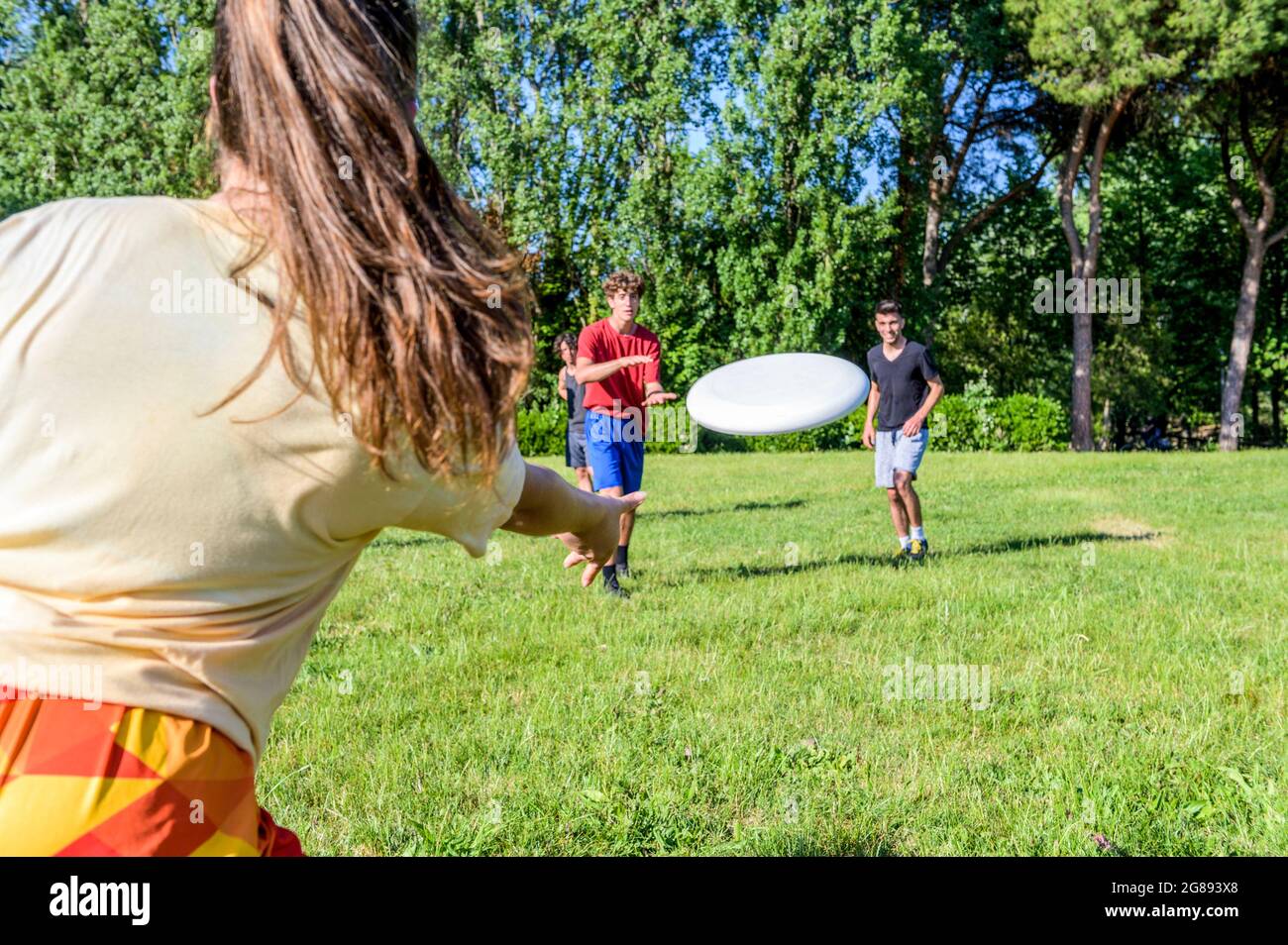 Group of friends have fun play at flying disc in the park in summer ...