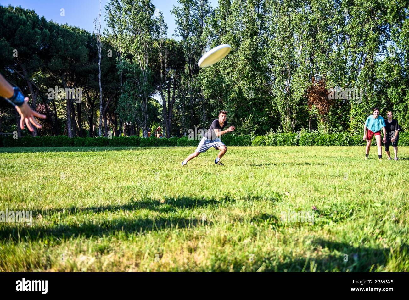 Team of happy friends training at flying disc in the park in summer ...