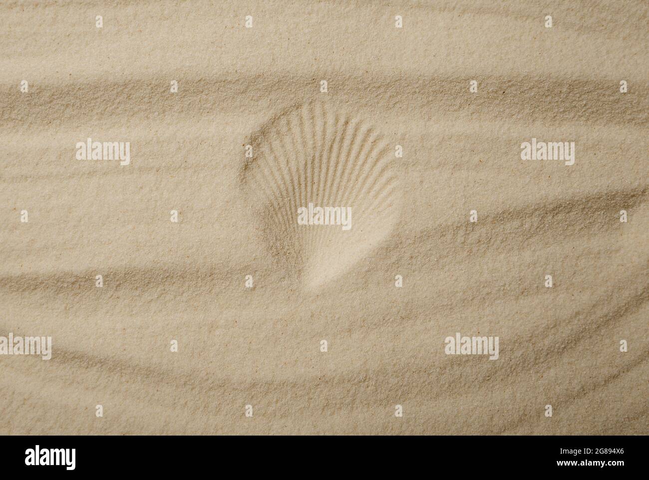 sand texture with star pattern background. Sandy beach for background ...