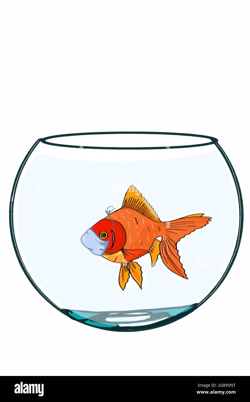 Goldfish texture hi-res stock photography and images - Alamy
