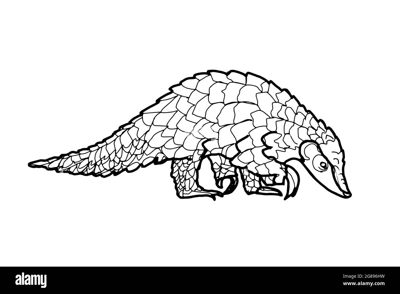Tree Pangolin Drawing
