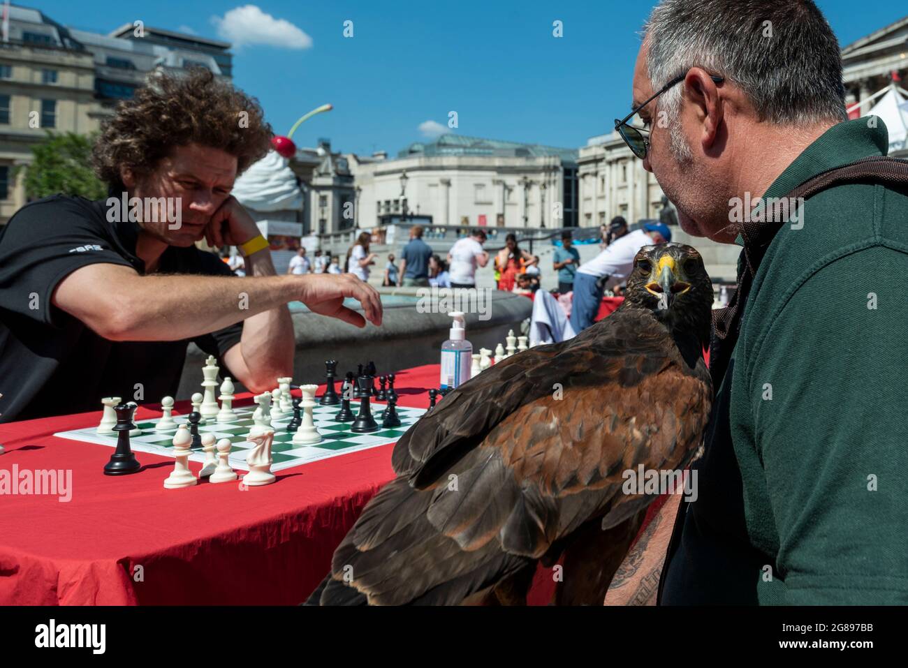 London, UK. 18 July 2021. Neve the Harris Hawk looks on as its handler ...