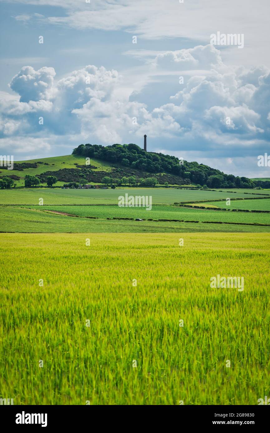Green crop fields in agricultural landscape with Victorian hilltop ...
