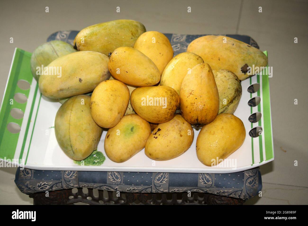 Philippines mango mangifera indica hi-res stock photography and images ...