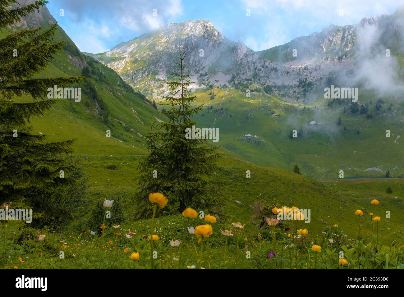 Gruyere switzerland trail hi-res stock photography and images - Alamy