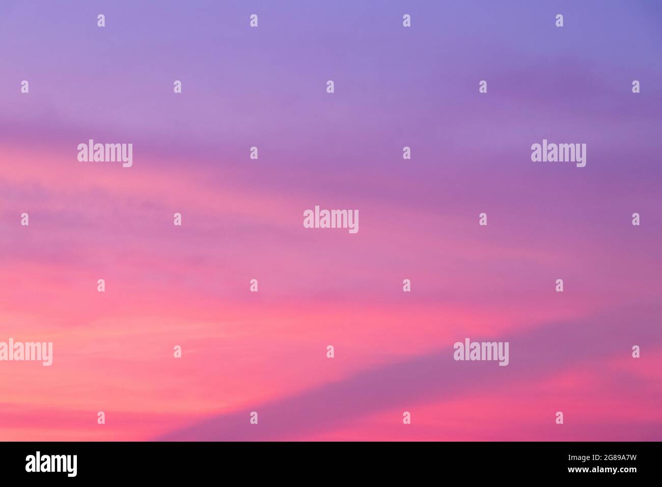 Sky background in twilight period with pink and violet color at sunset ...
