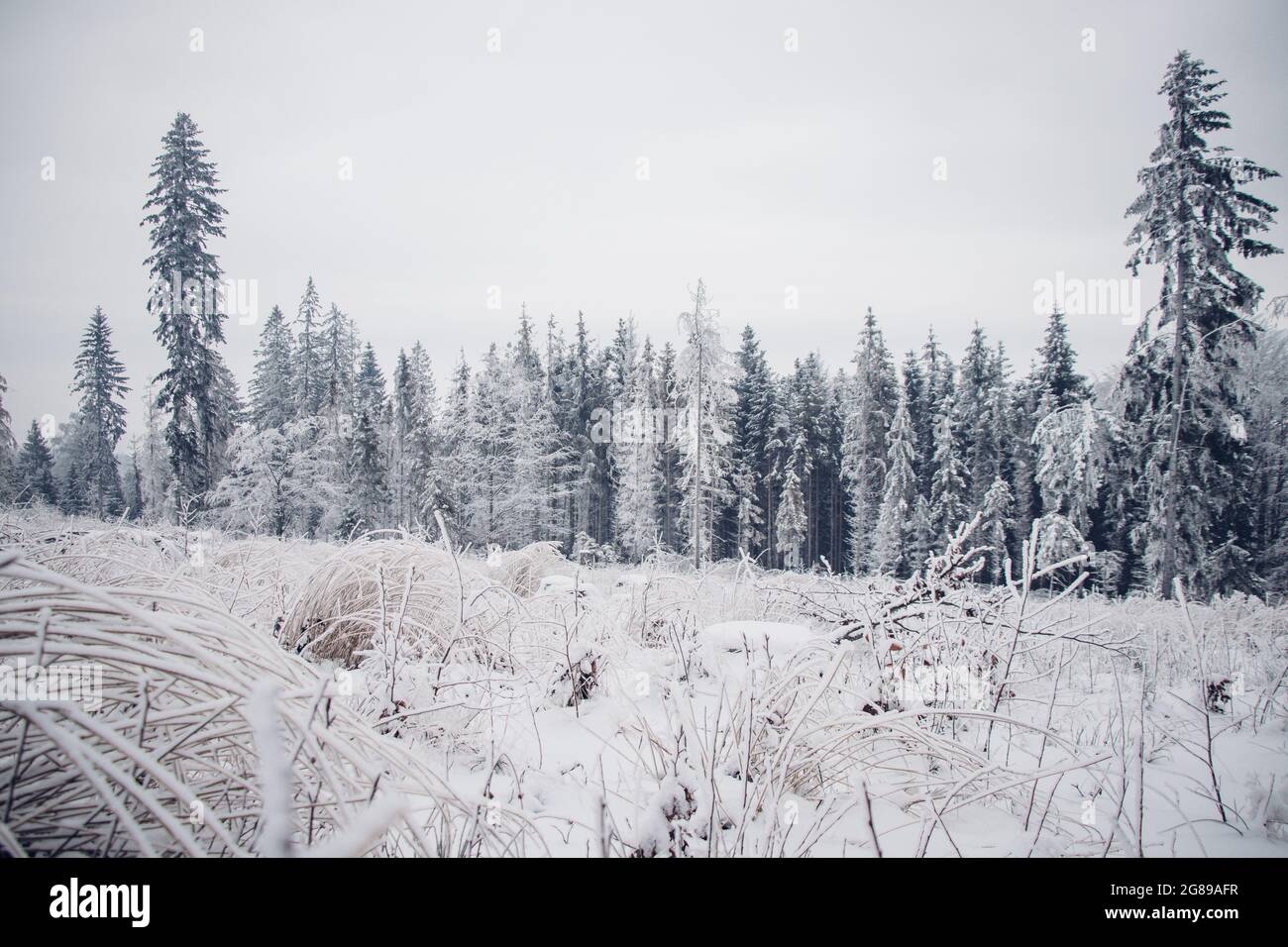 Rough alpine nature covered with snow and whipped by the wind. An ...
