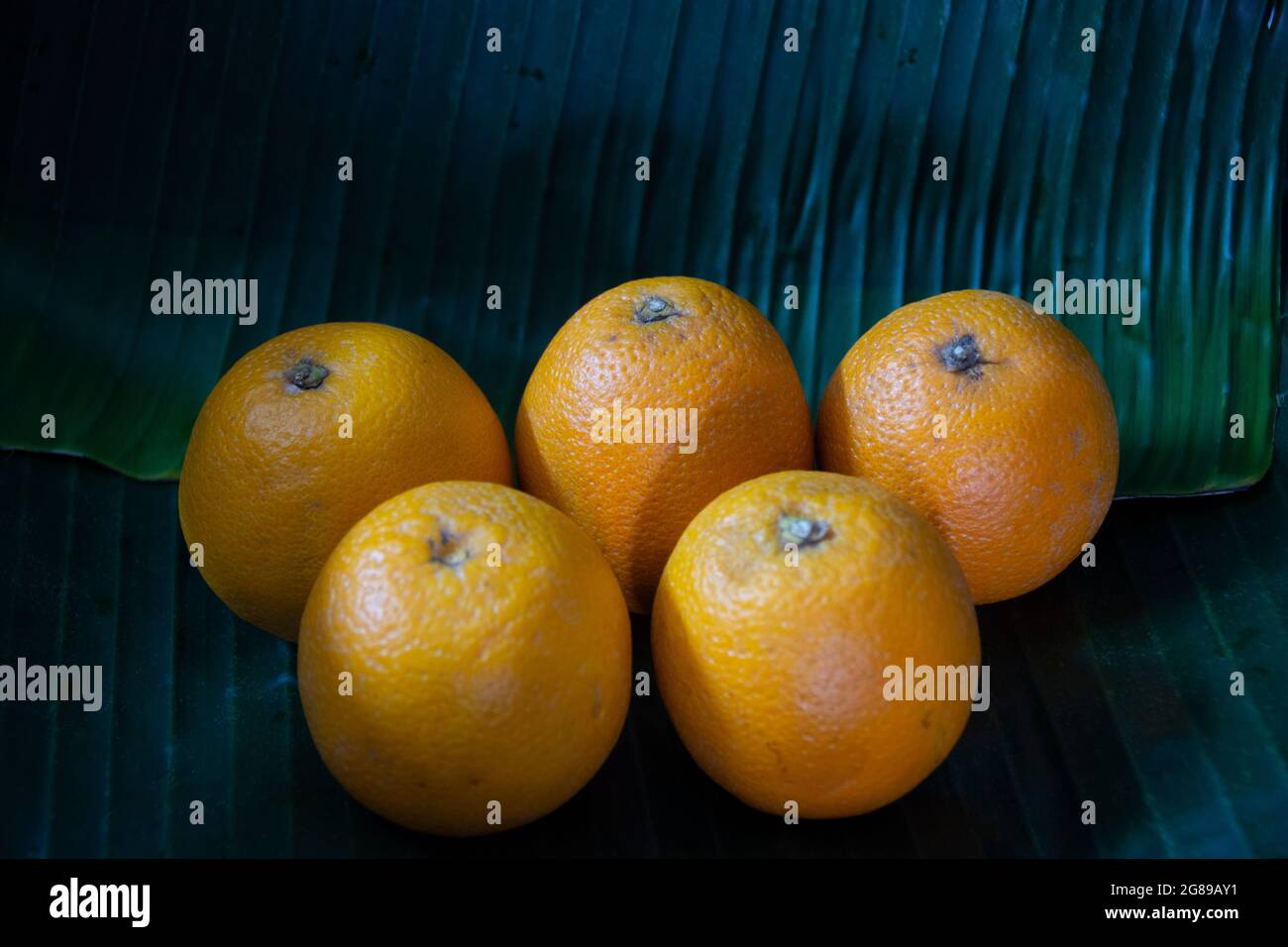 Citrus × sinensis, also known as the Citrus sinensis, includes the ...