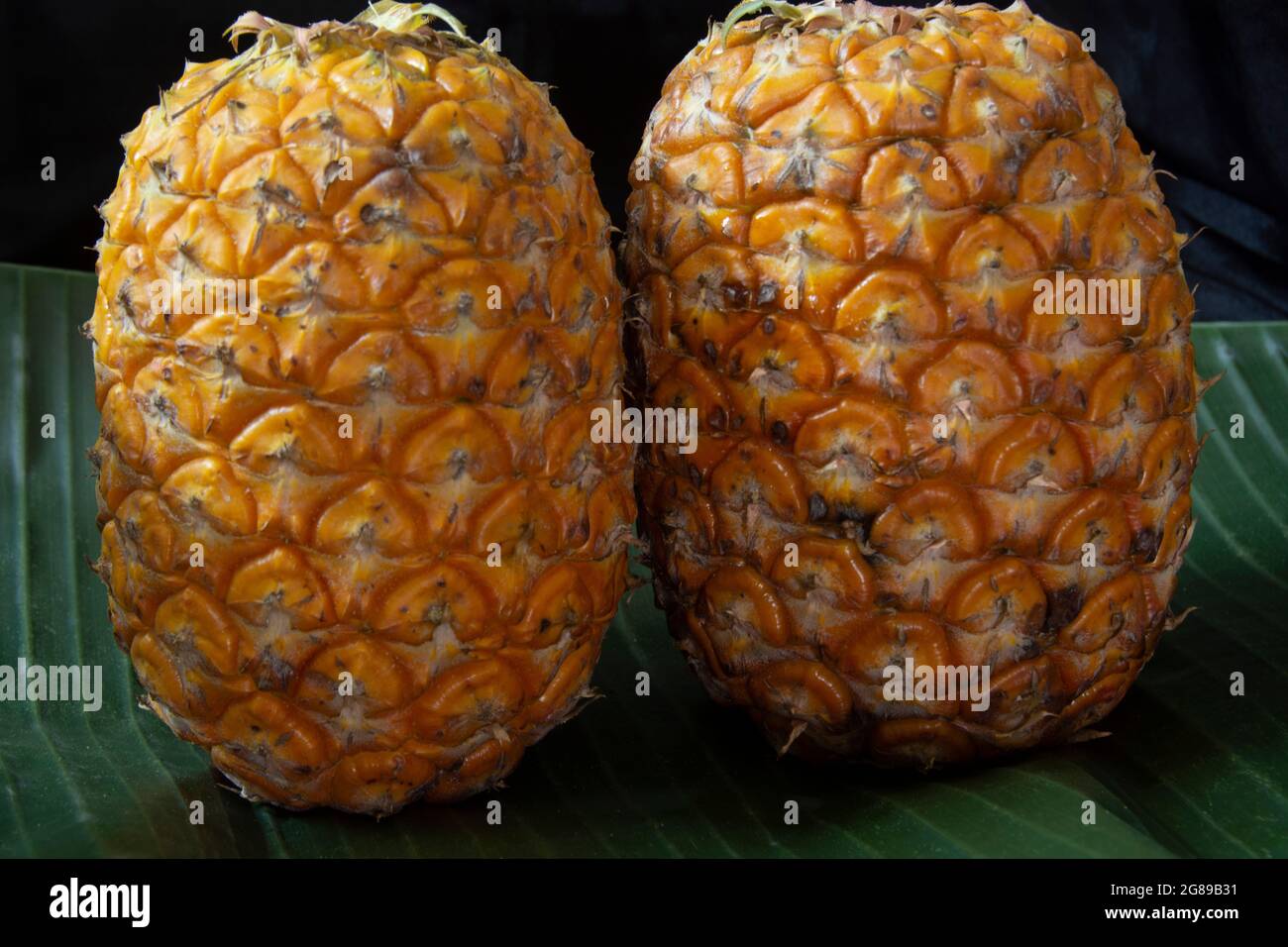 The pineapple is a tropical plant with an edible fruit and the most ...