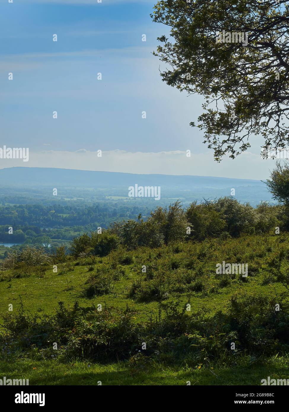 Scrubby grass hi-res stock photography and images - Alamy