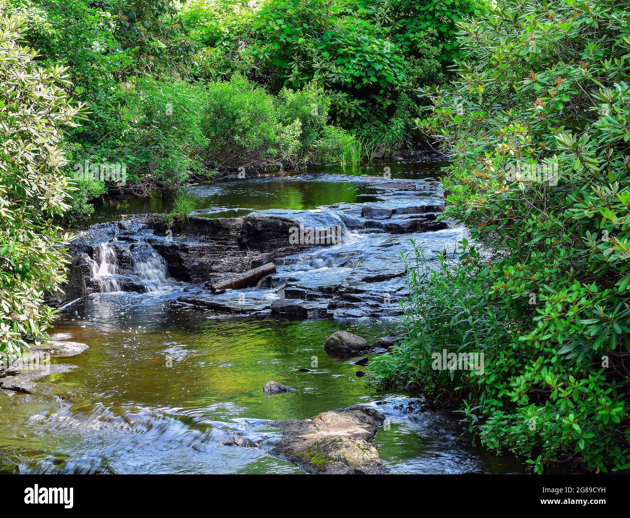 water cascading over rocks in a stream at moore state park Stock Photo ...