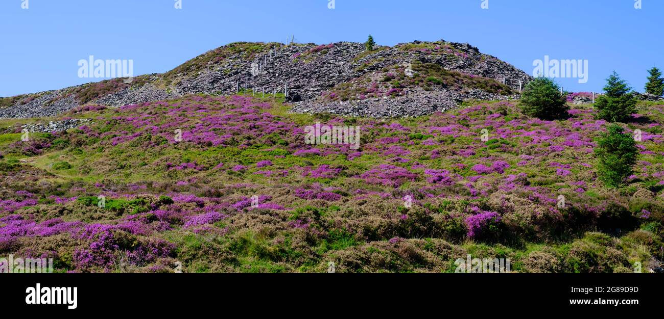 Hiking up Moel Eilio in Snowdonia, North, Wales, Great Britain Stock ...