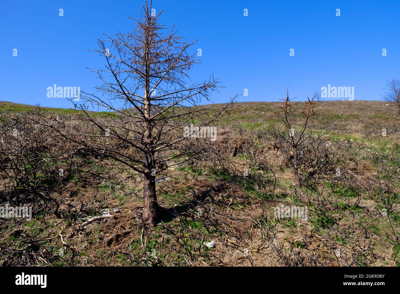Hiking up Moel Eilio in Snowdonia, North, Wales, Great Britain Stock ...