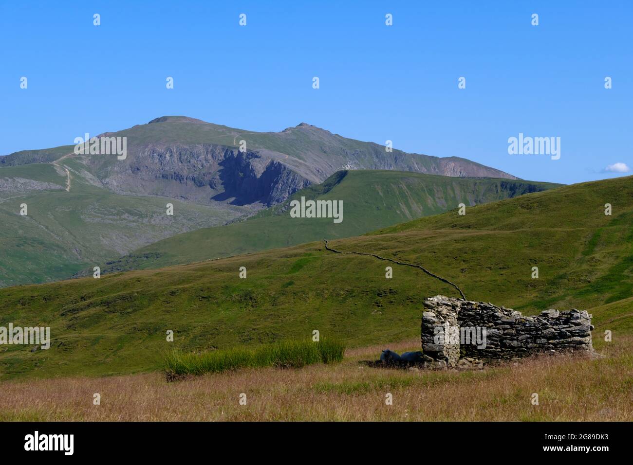 View of Mount Snowdon from Moel Eilio in Snowdonia, North, Wales, Great ...