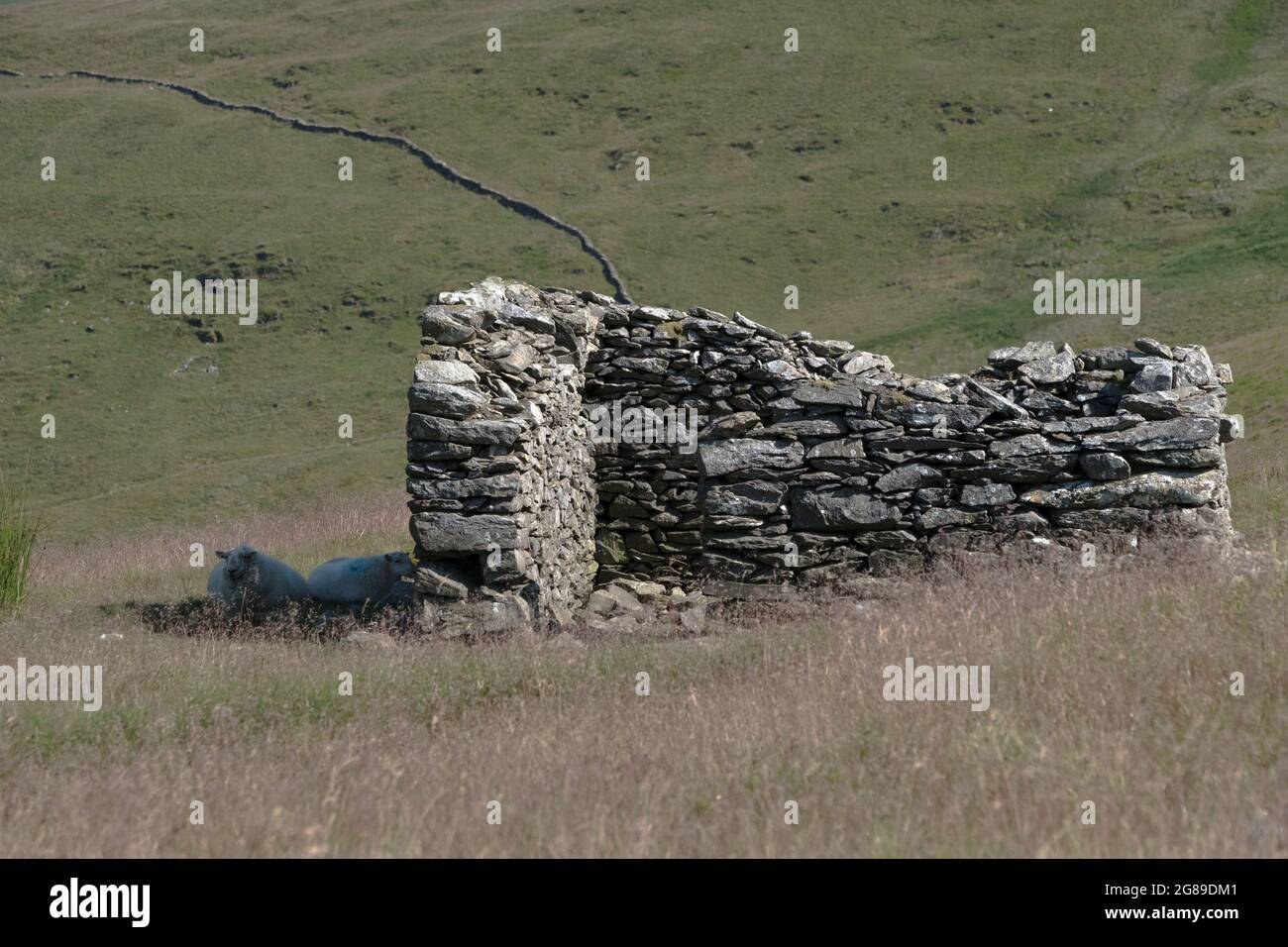 Hiking up Moel Eilio in Snowdonia, North, Wales, Great Britain Stock ...