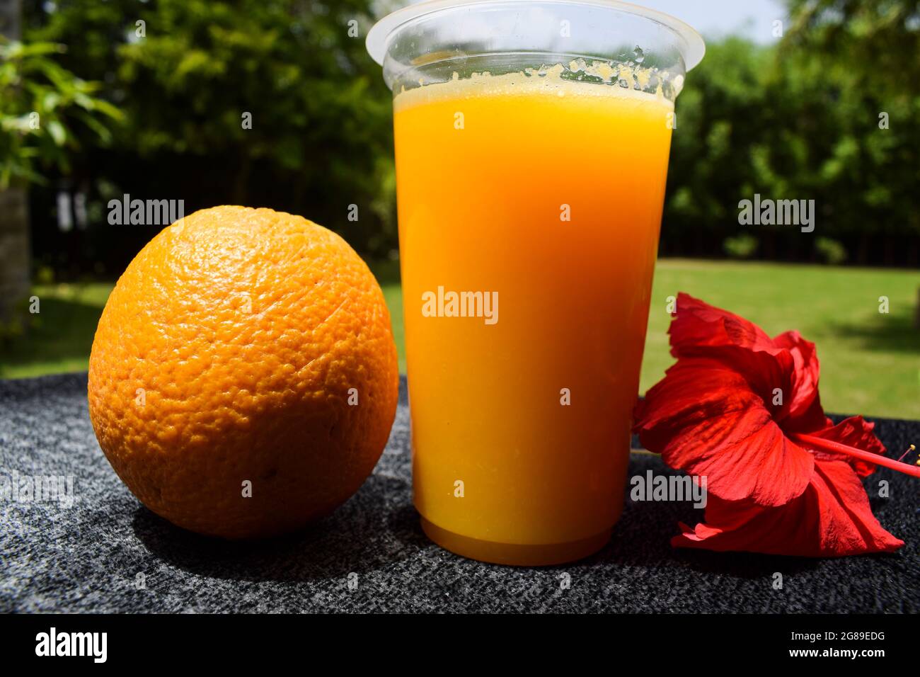 Citrus Malta juice served in transparent glass with Malta fruit on ...