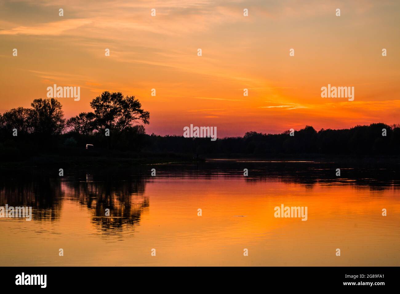 Sunset over night forest hi-res stock photography and images - Alamy