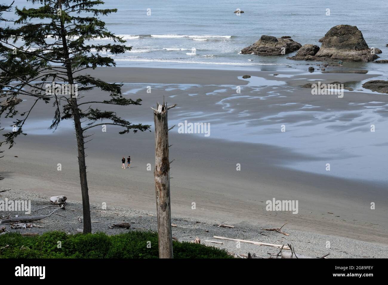 Olympic peninsula washington hi-res stock photography and images - Alamy