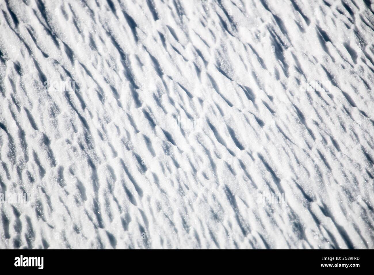 Detail of a frozen snow crust in black and white Stock Photo - Alamy
