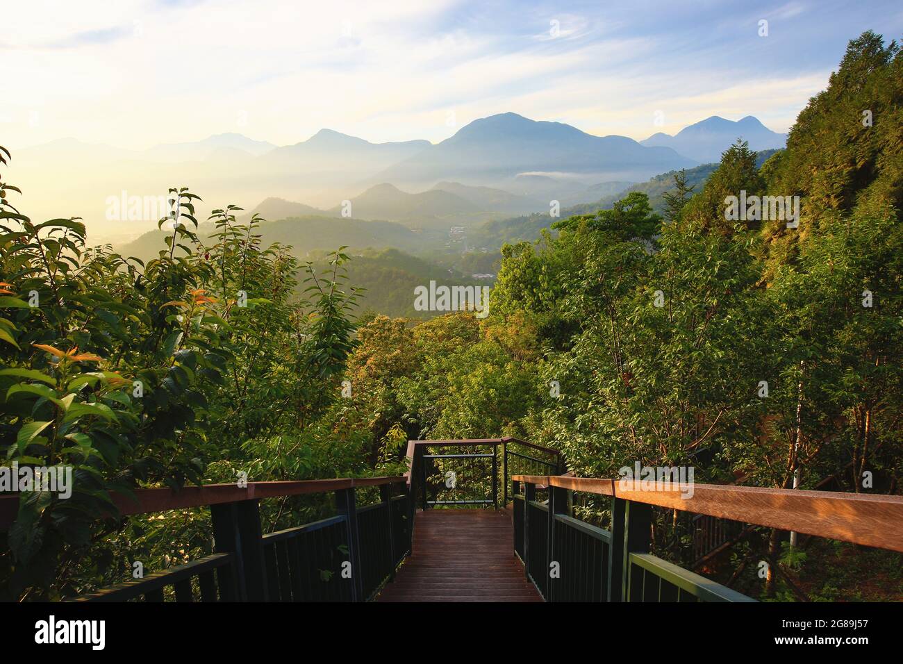 Wooden ladder under tree hi-res stock photography and images - Alamy