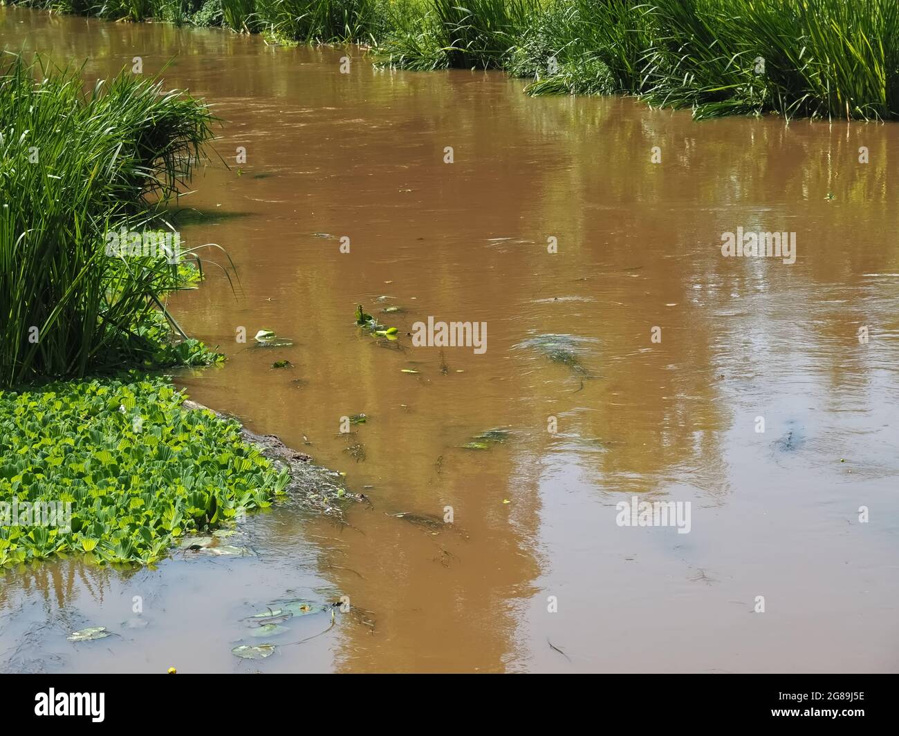 Erftstadt flood hi-res stock photography and images - Alamy