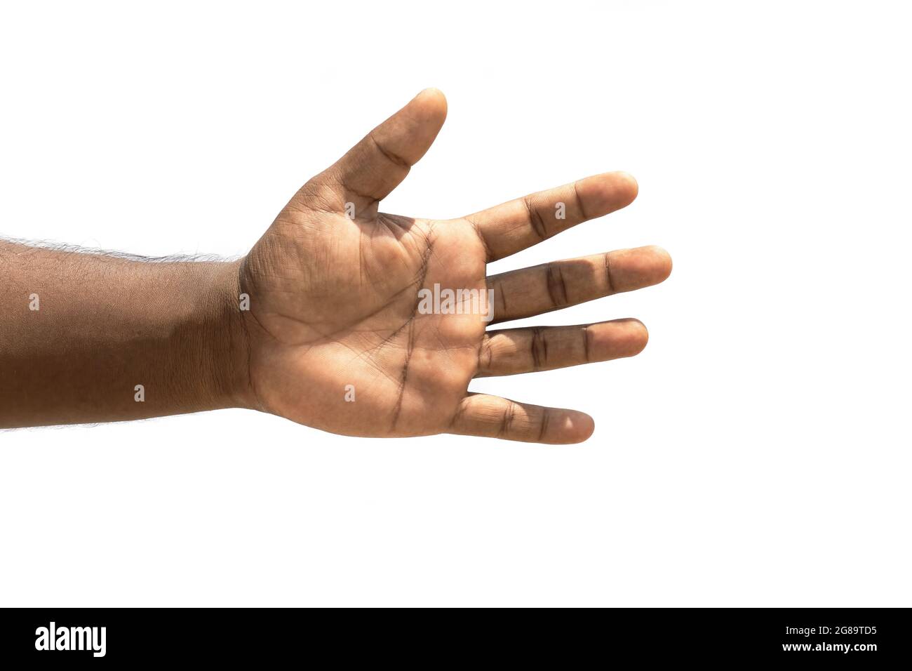 Male left hand with five fingers close up isolated on white background ...