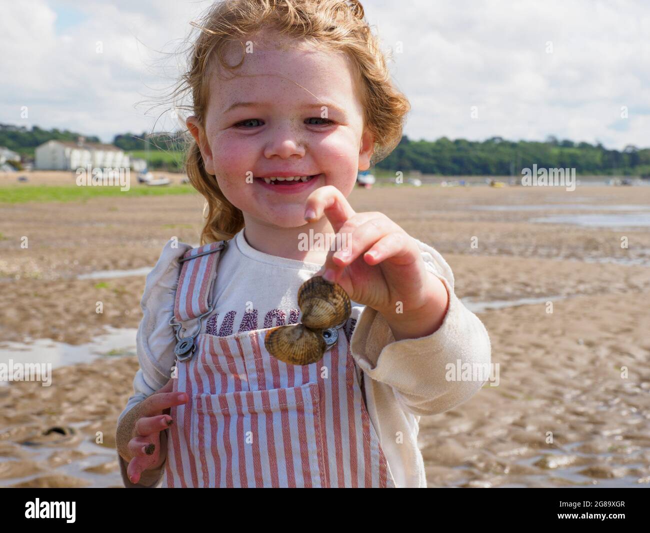 Picking up beach shells uk hi-res stock photography and images - Alamy