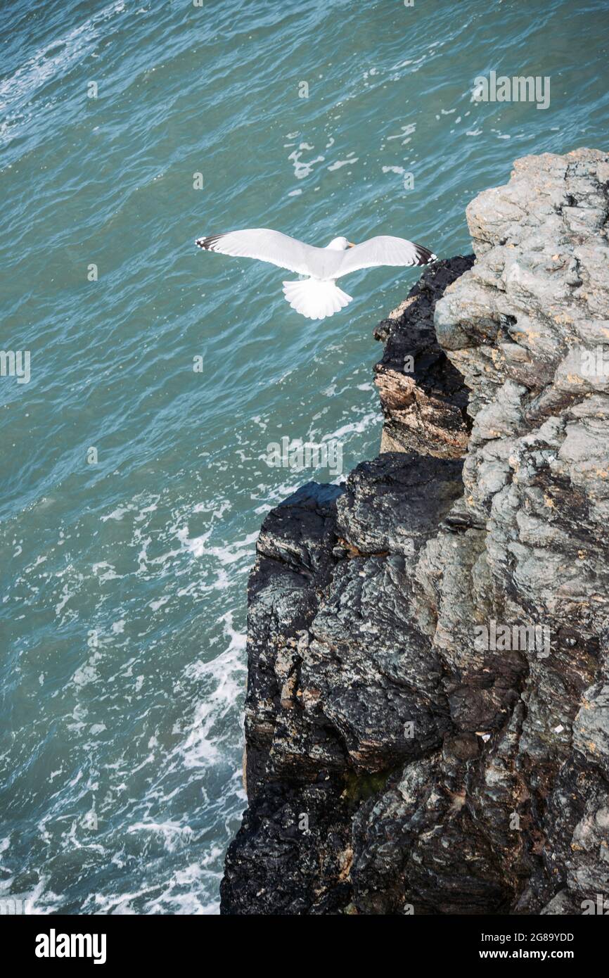 Discover howth hi-res stock photography and images - Alamy