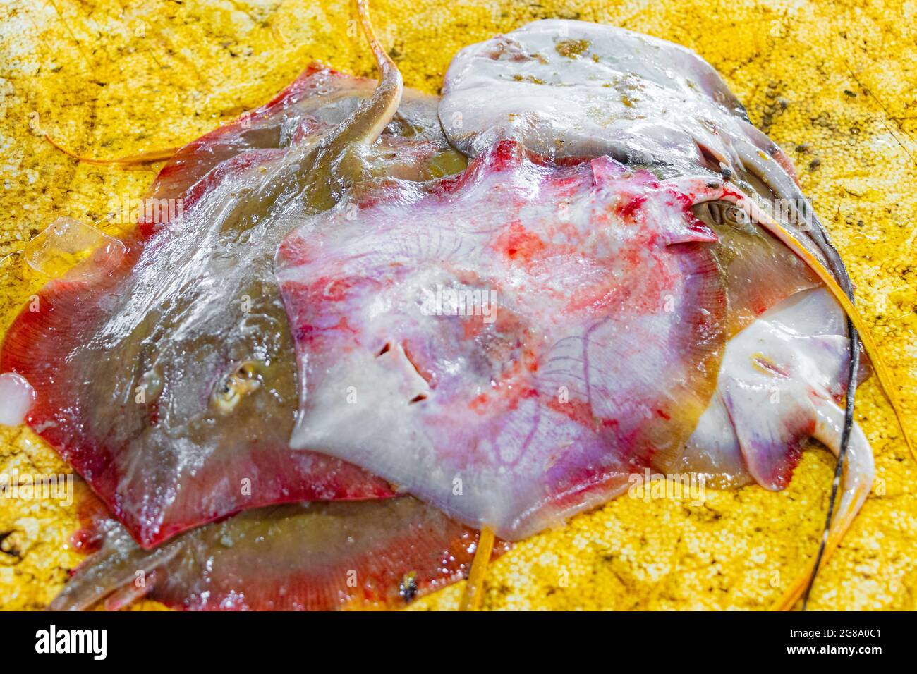 Rays in yellow sauce soup for sale in Bangrak market on Koh Samui Surat ...
