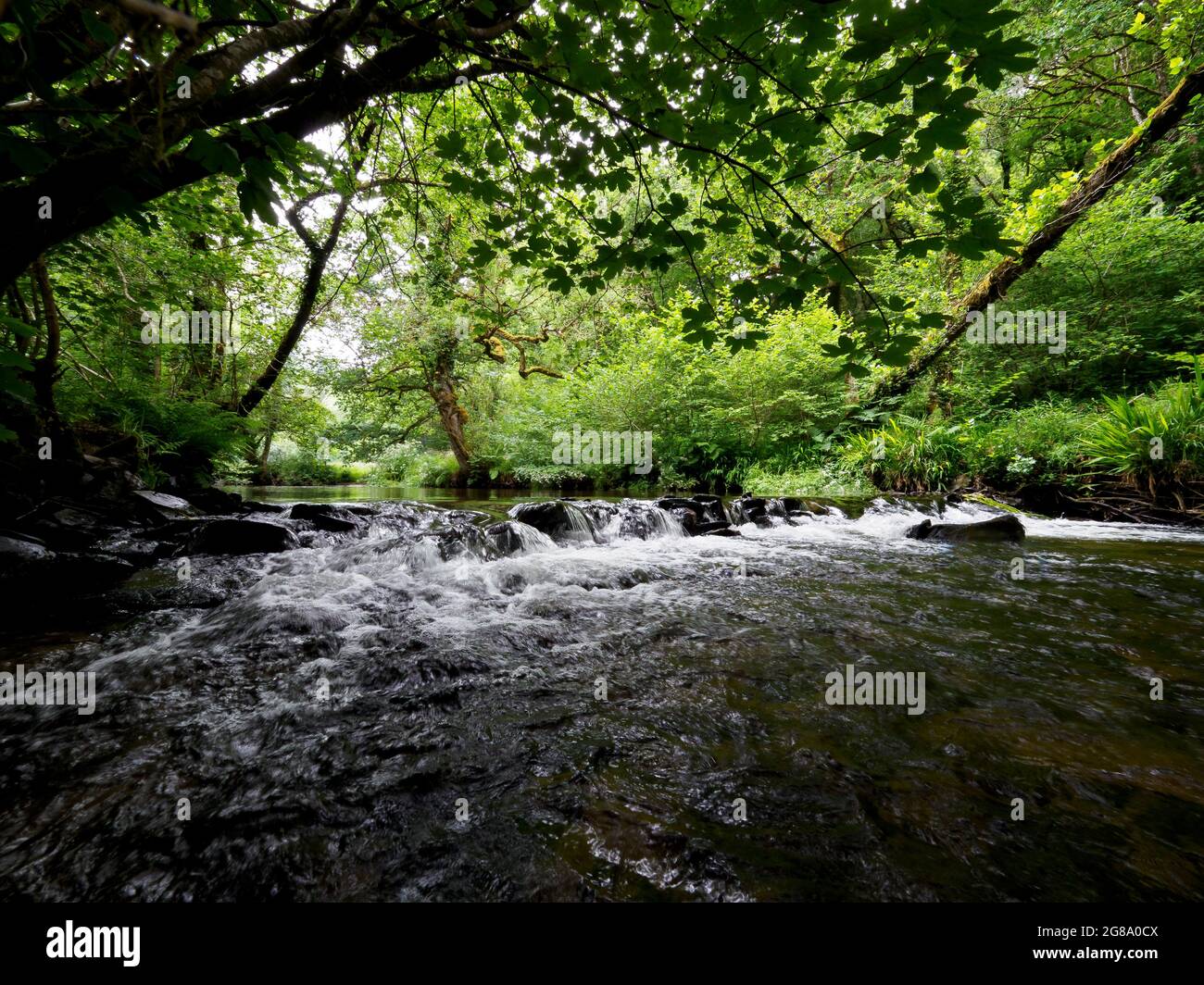 River lynher hi-res stock photography and images - Alamy