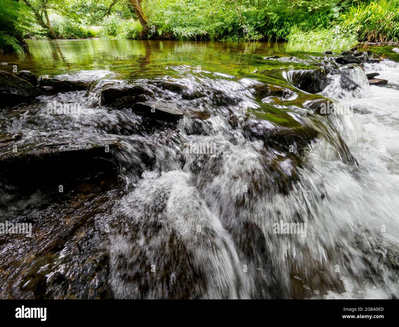 River Lynher flowing through Stara Woodland, Cornwall, UK Stock Photo ...