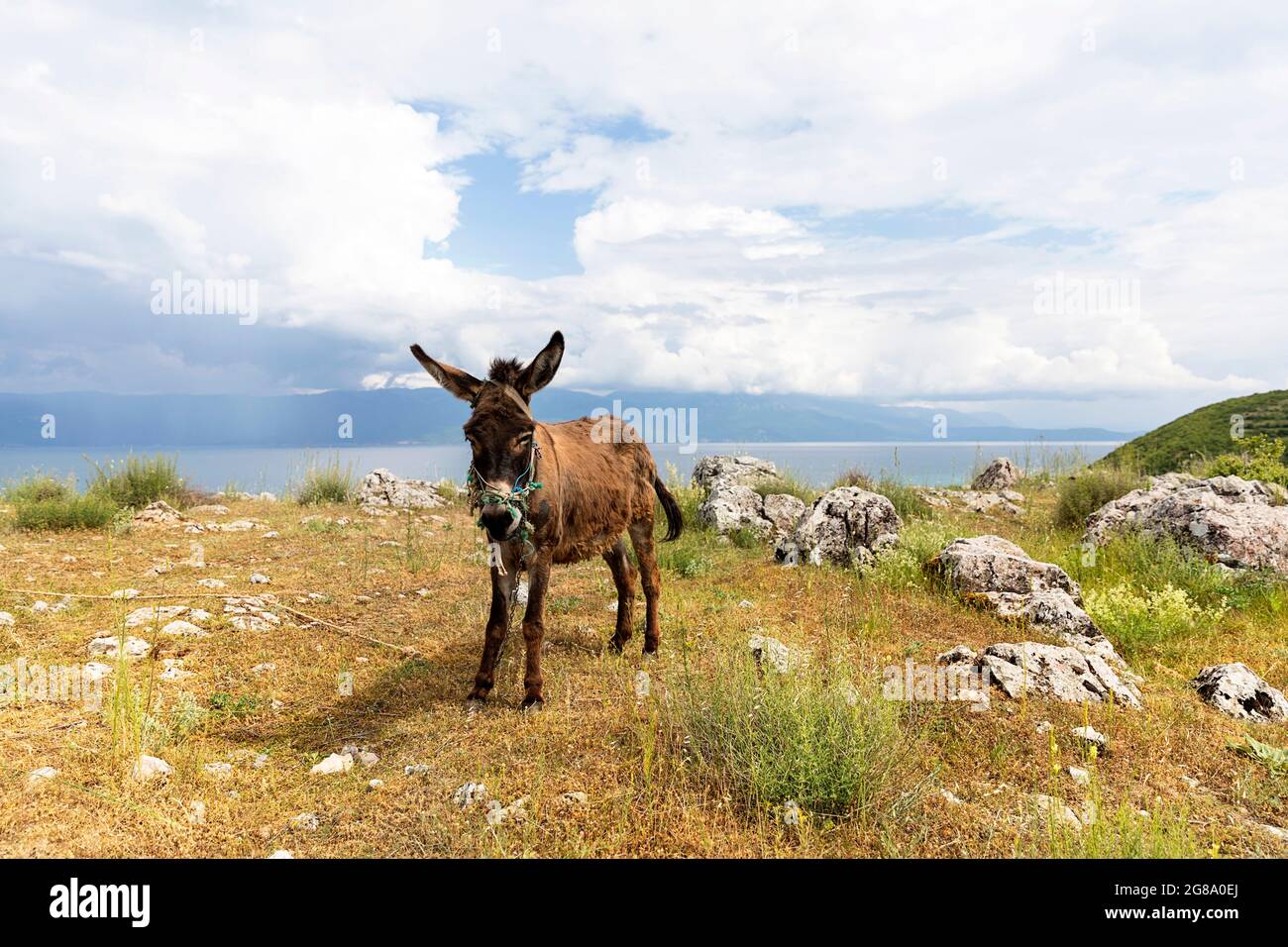a donkey above the picturesque village of Lin on the shore of lake ...