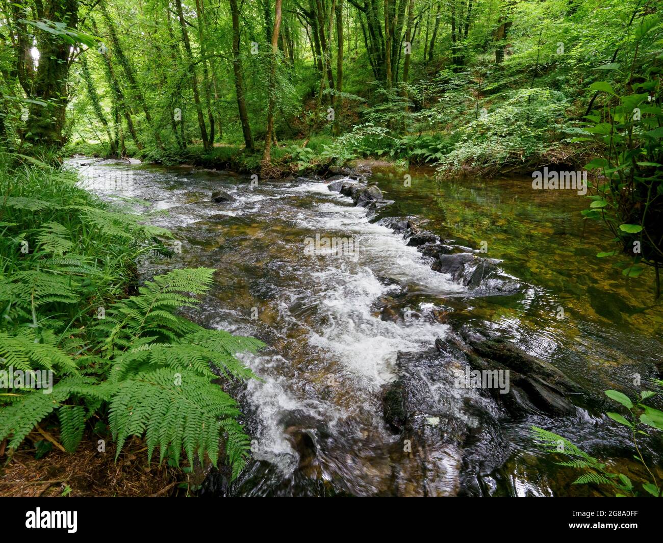 River lynher hi-res stock photography and images - Alamy