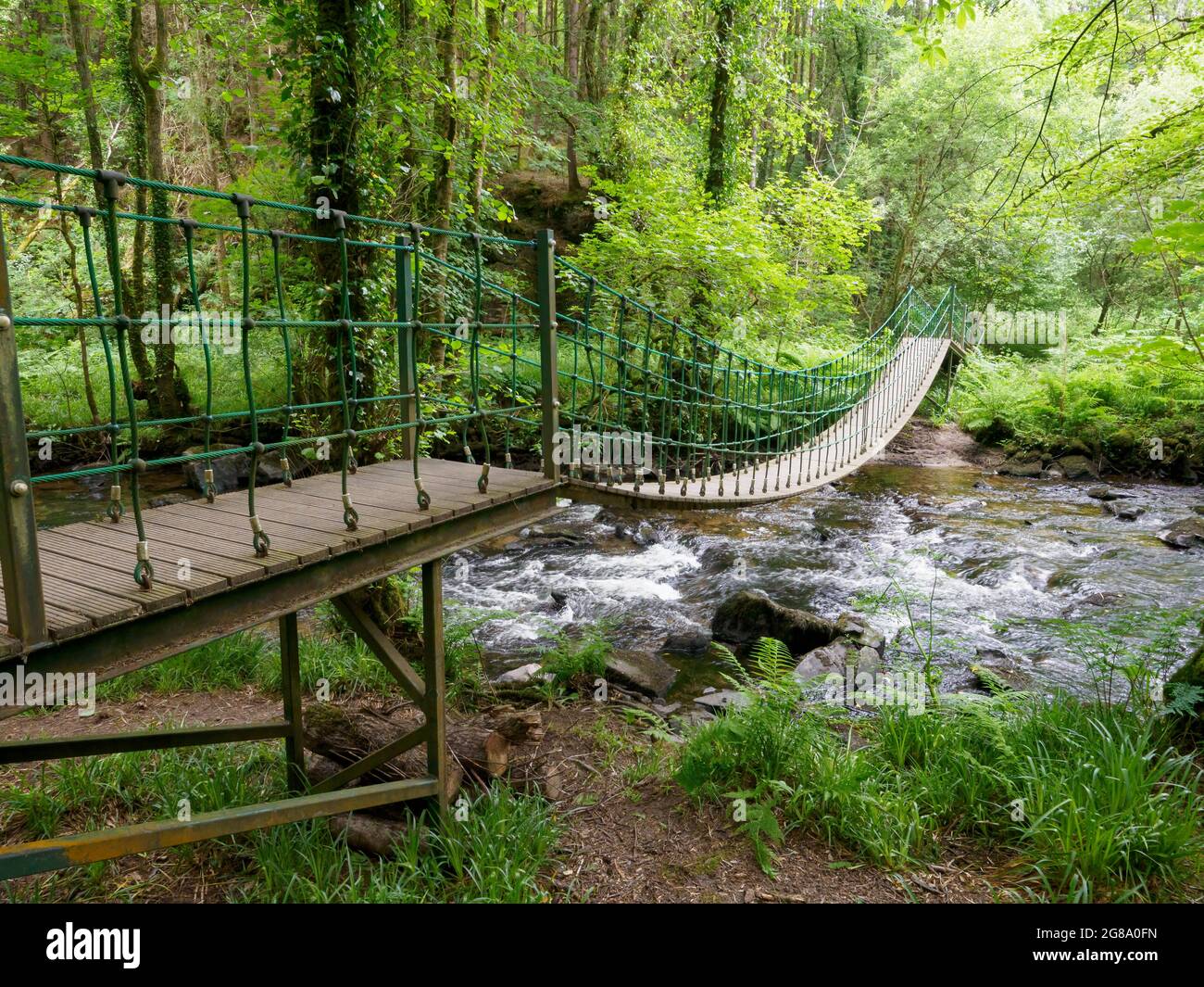 Suspension bridge across the River Lynher, Stara Woodland, Cornwall, UK ...