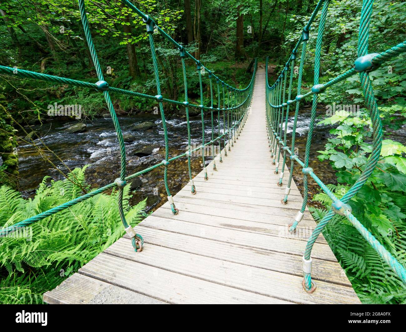 Suspension bridge across the River Lynher, Stara Woodland, Cornwall, UK ...