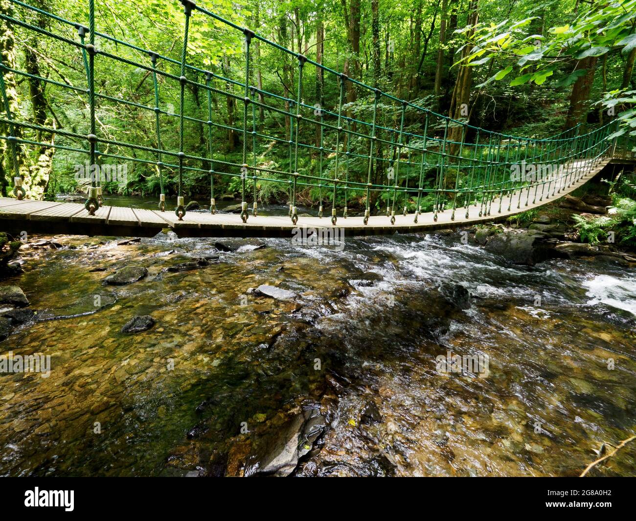 Suspension bridge across the River Lynher, Stara Woodland, Cornwall, UK ...