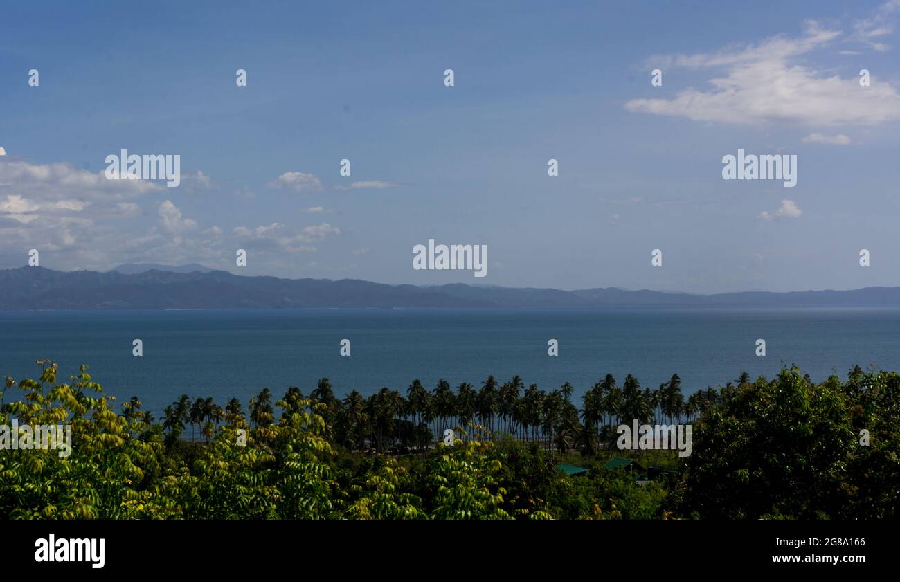 Ocean view from a beach filled with coconut trees Stock Photo - Alamy