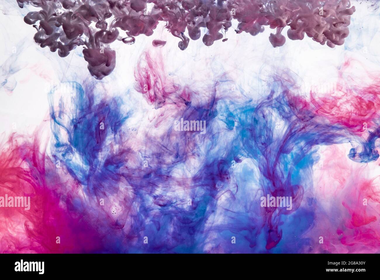 the water color ink movement explosion, abstract color background paint ...