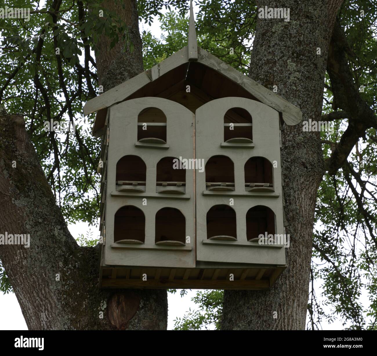 Large multiple storey birds house Stock Photo - Alamy