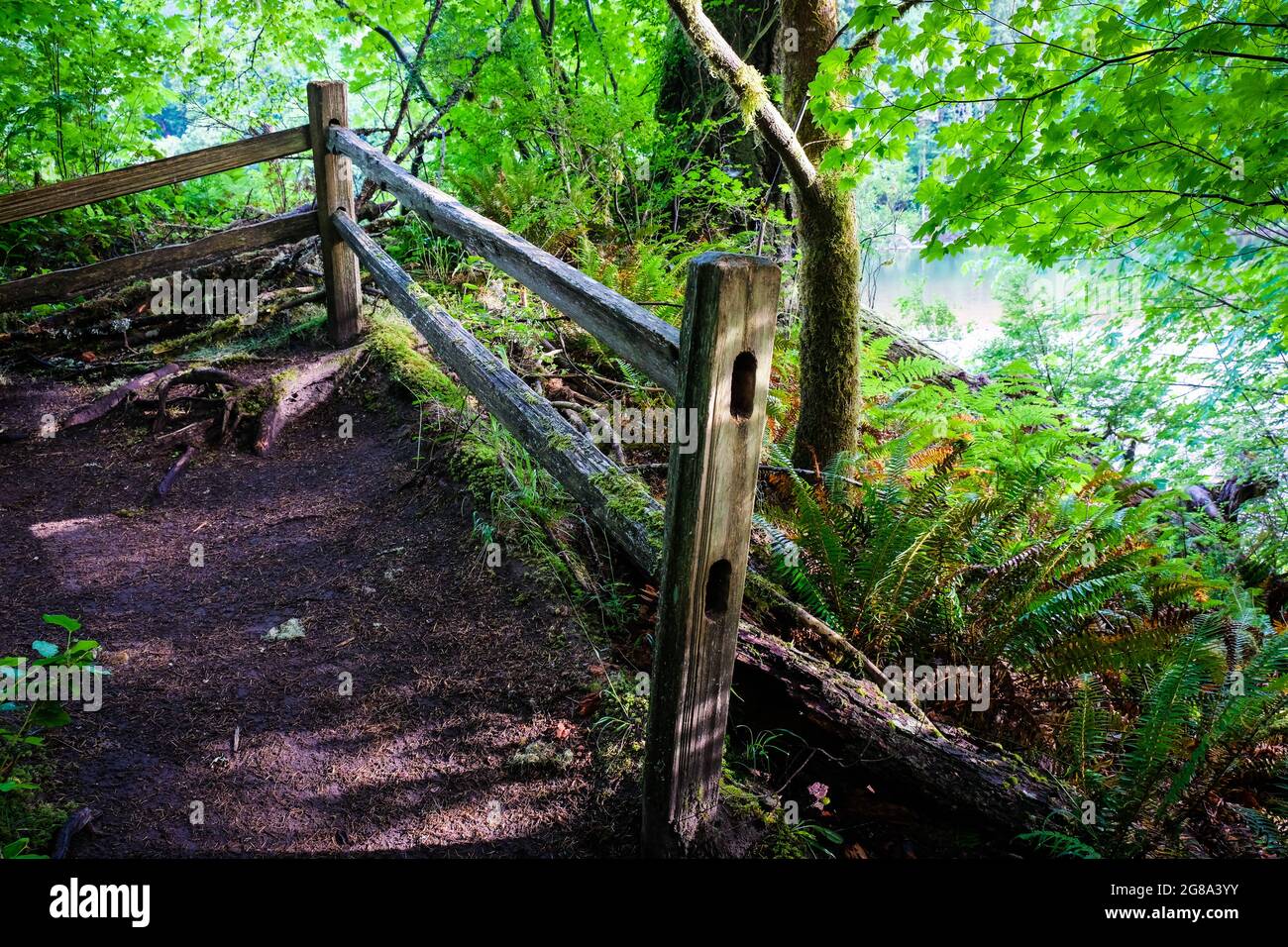 Split-rail fence and Pacific Northwest greenery at Oxbow Regional park ...