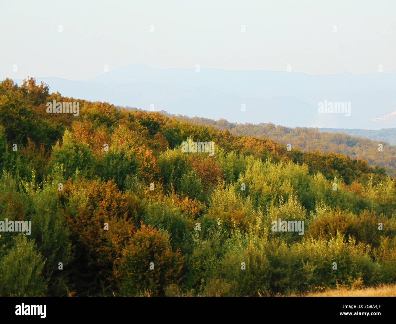 Maramures nature park hi-res stock photography and images - Alamy