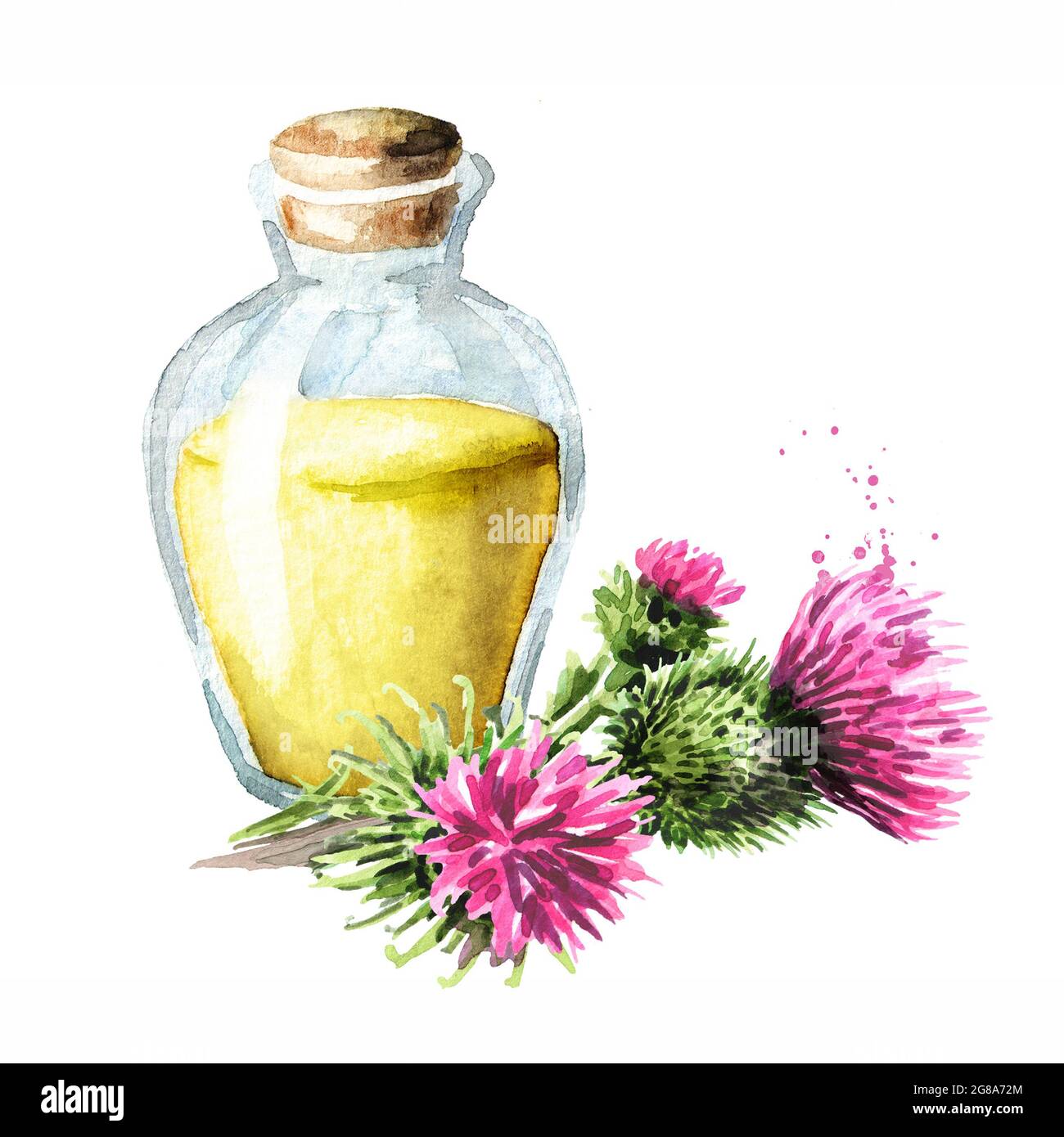 Burdock oil in the glass with burdock flowers. Hand drawn watercolor ...
