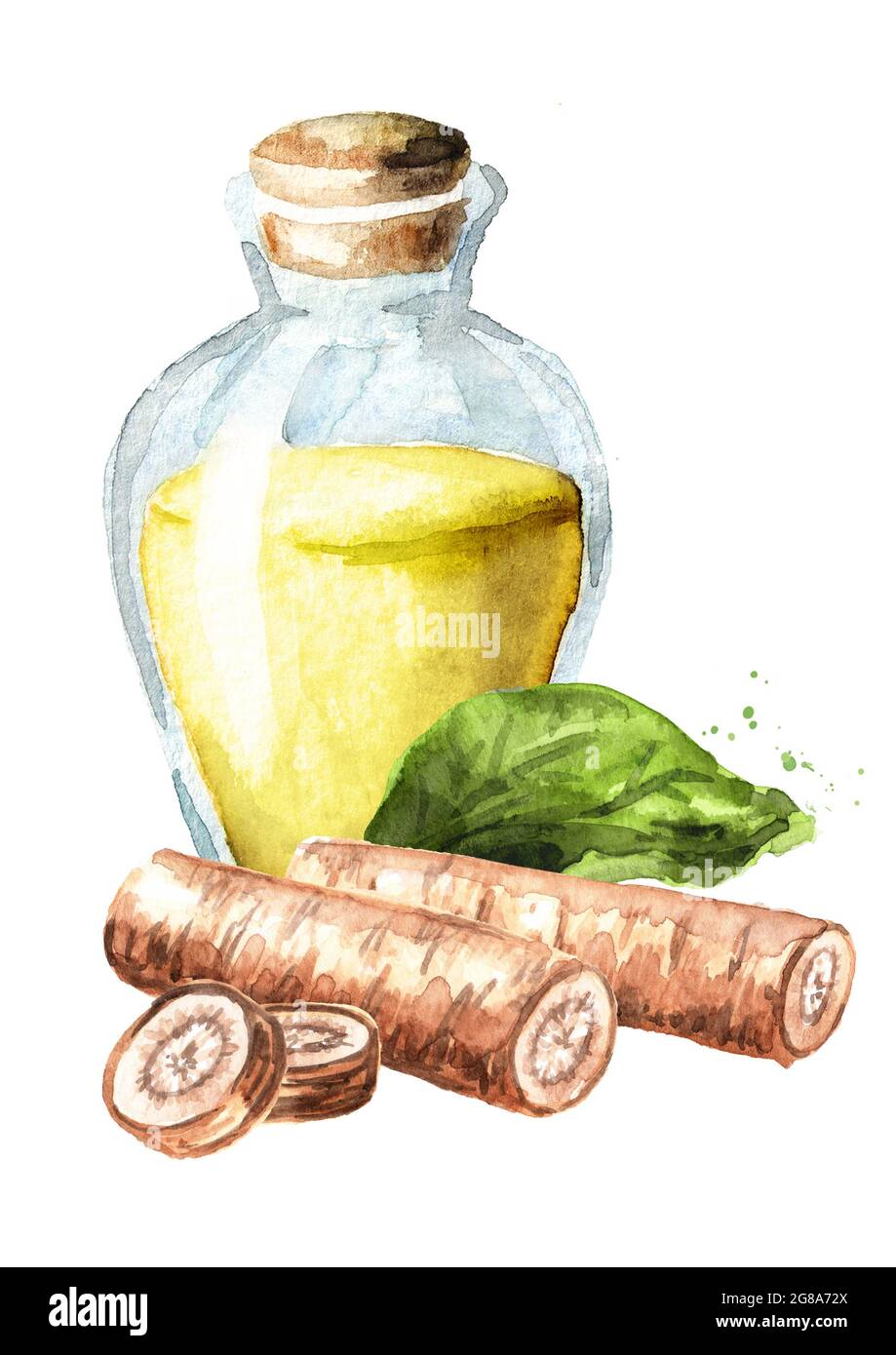Burdock oil in the glass with burdock roots. Hand drawn watercolor ...