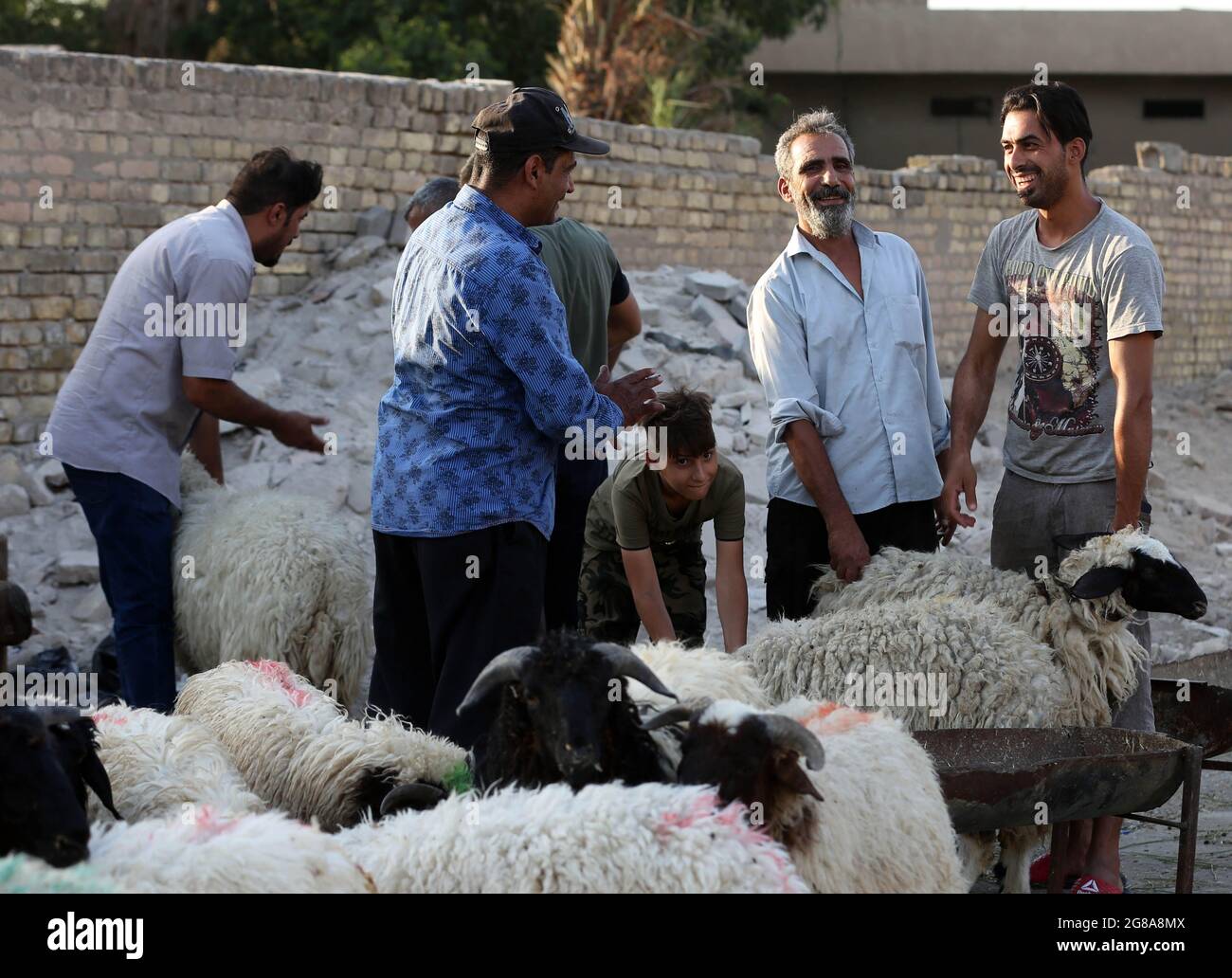 Iraq adha hi-res stock photography and images - Alamy