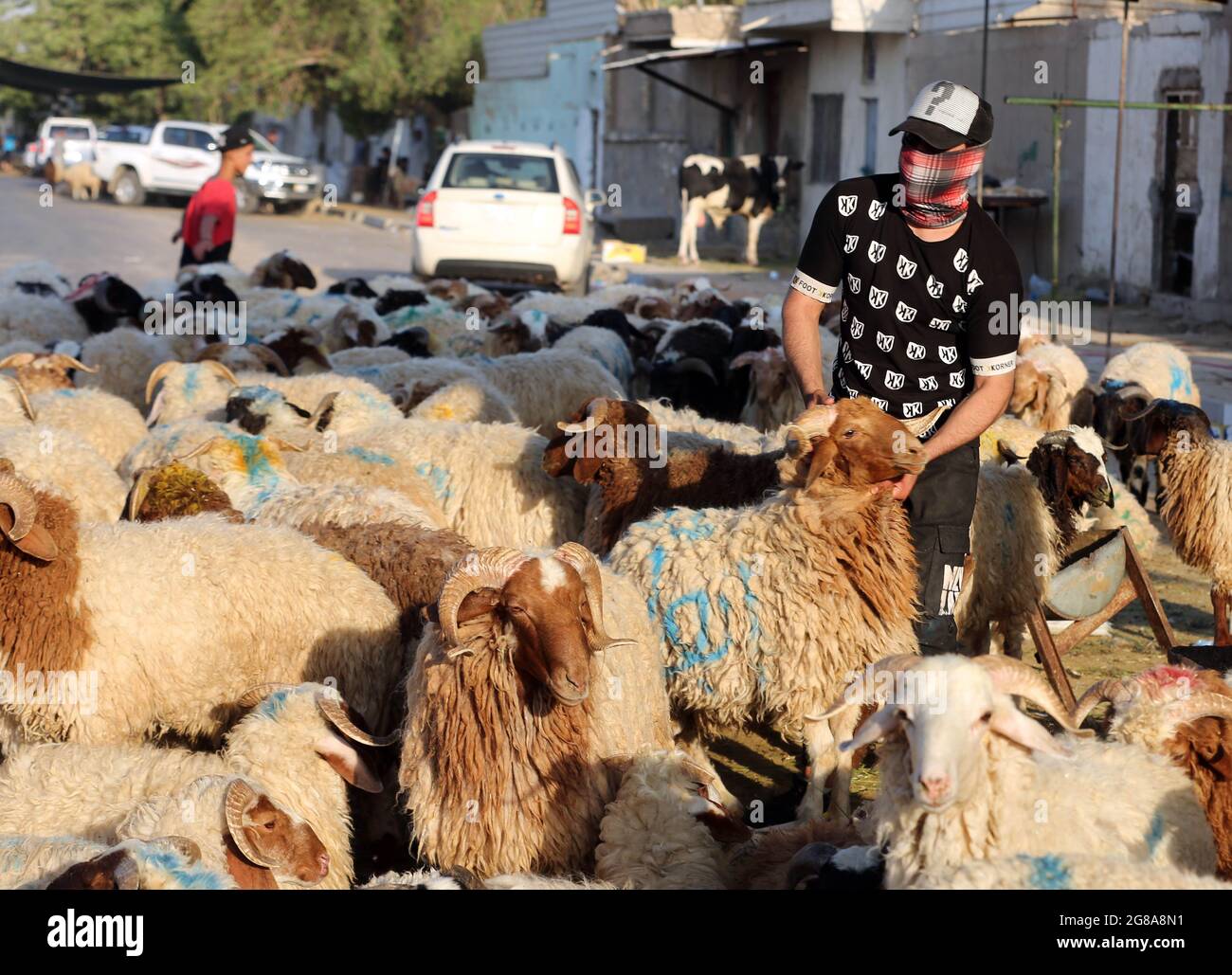 Baghdad, Iraq. 18th July, 2021. A man sells sheep ahead of Eid al-Adha ...