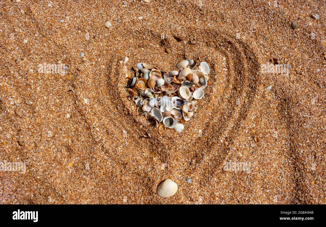 Heart made shells on beach hi-res stock photography and images - Alamy