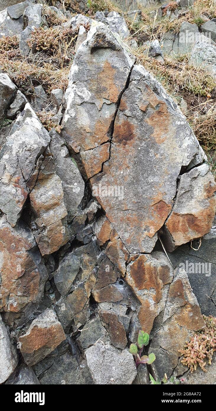 Stone texture in close up Stock Photo - Alamy
