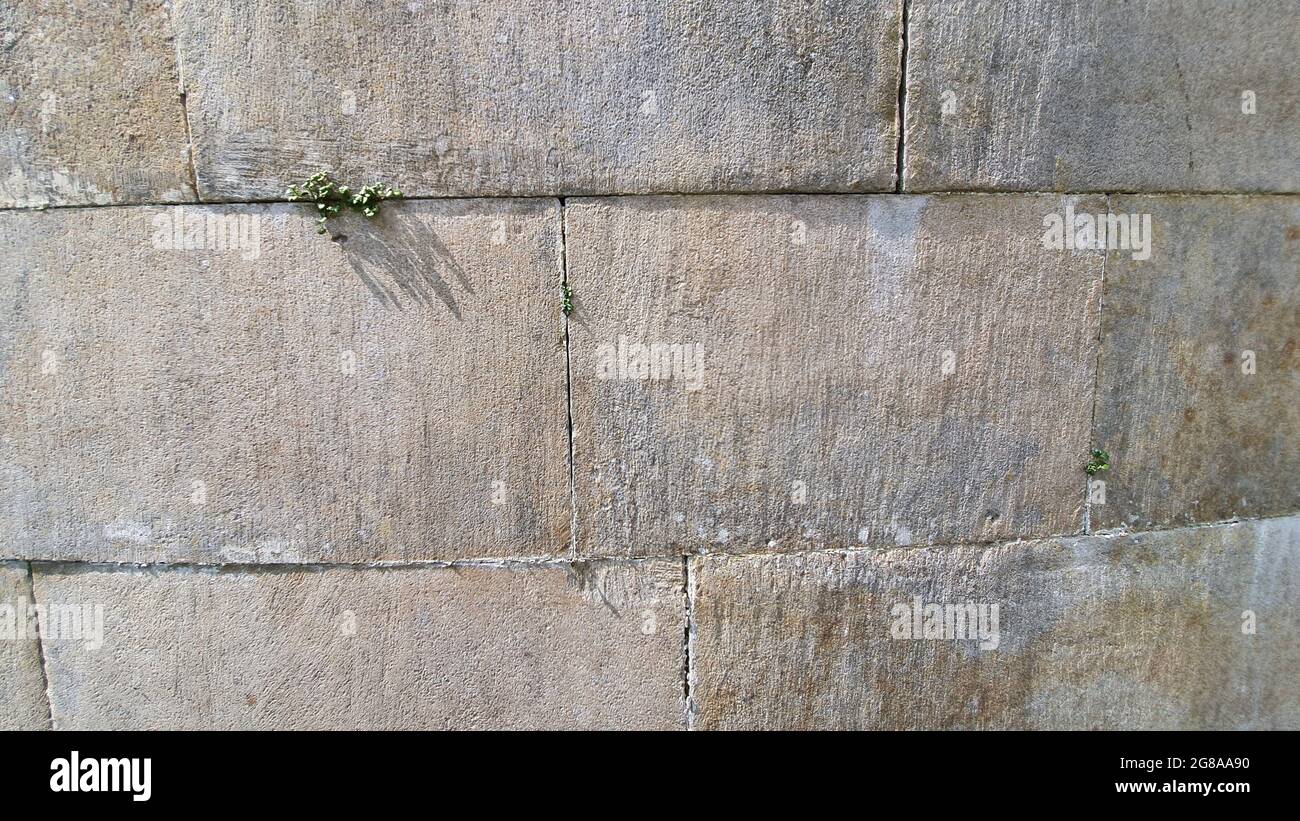 Stone texture in close up Stock Photo - Alamy