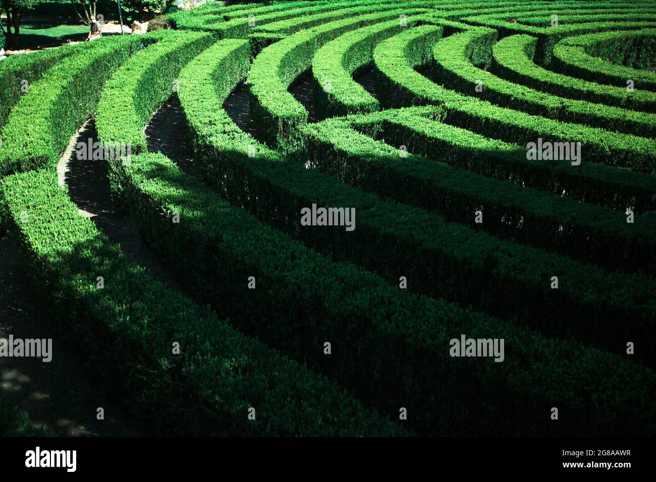 View of the maze built by hedges in public park of Sao Roque in Porto ...