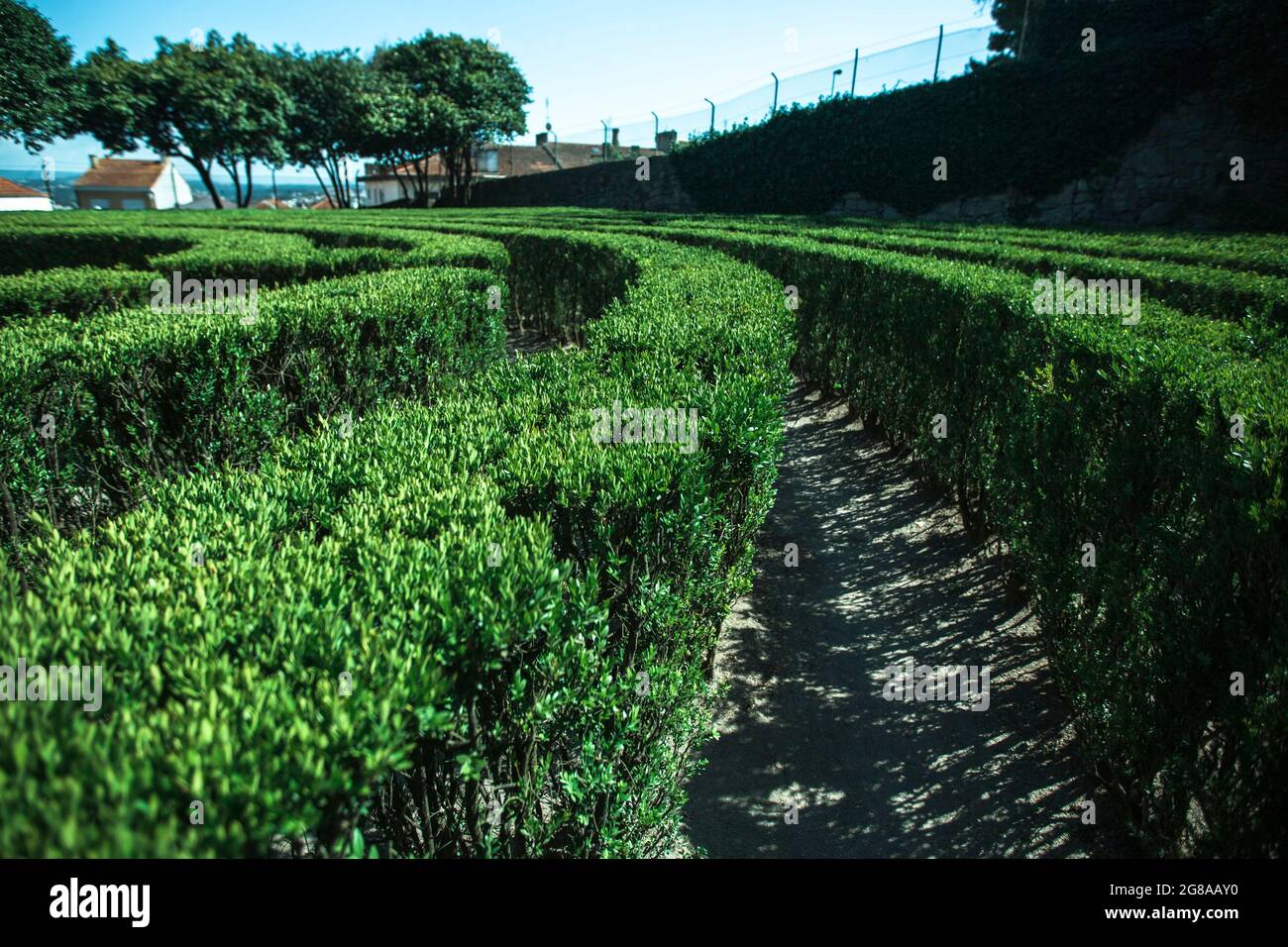 Maze built by hedges located at public park of Sao Roque in Porto ...